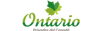 Estrena casa con Vidusa e Isssteleon | Inmobiliaria en Monterrey | Vidusa